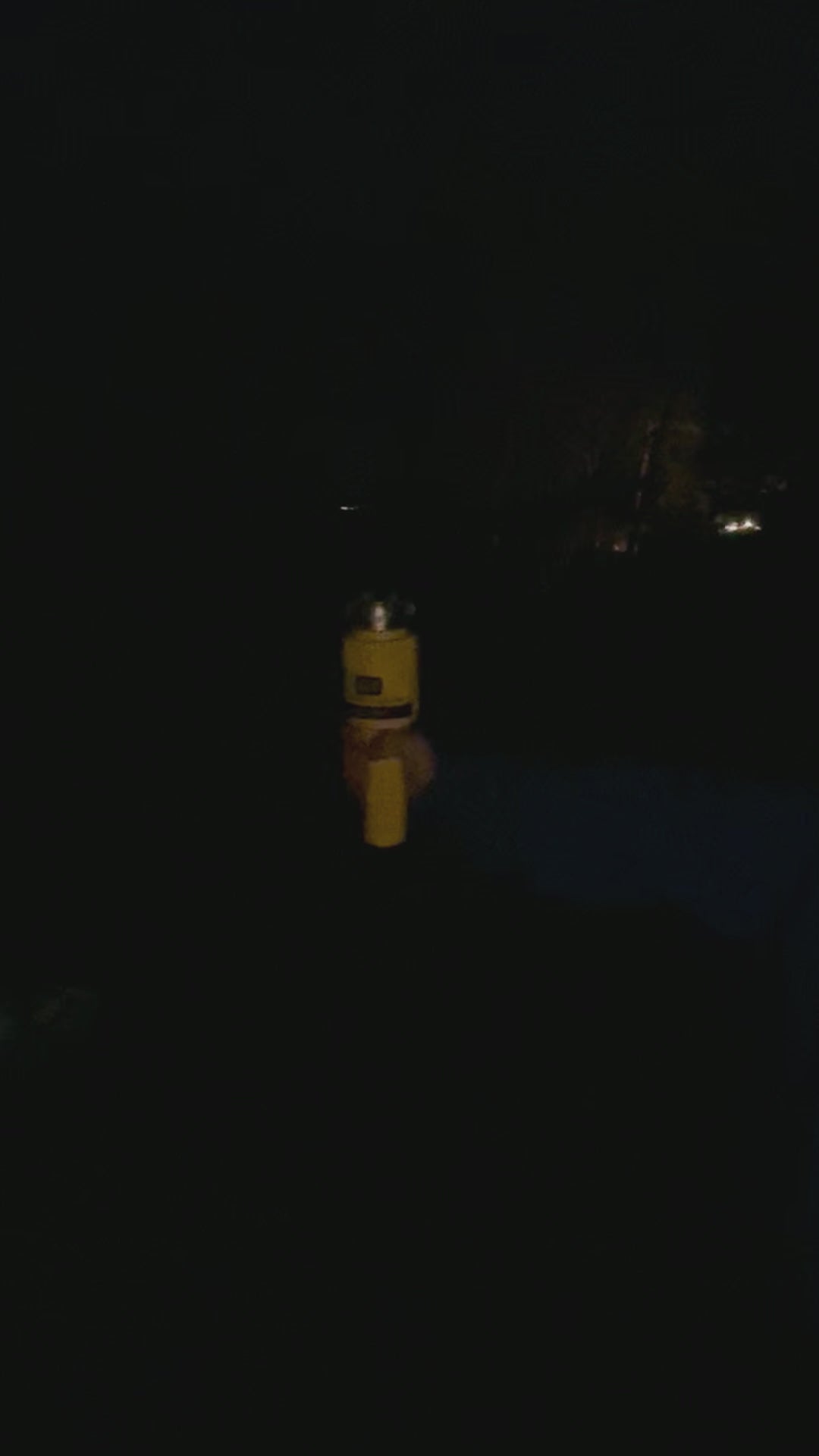 AQUASPEC Electronic Rescue Signal Light – Life Raft Professionals